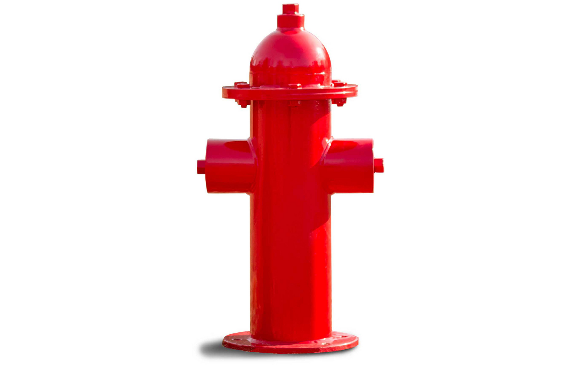 Dog Park Fire Hydrant – Playground Boss